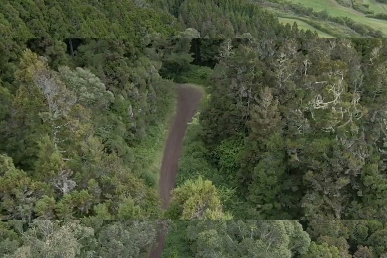 Ou faire voler son drone ? Fiche spot : La plaine des palmistes ...